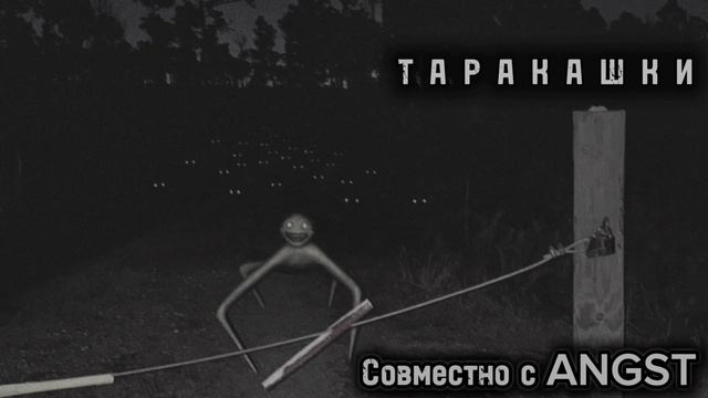 ТАРАКАШКИ! Страшные истории на ночь. (Совместно с ANGST).