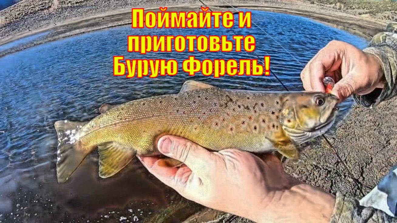 Поймайте и приготовьте ДИКУЮ Бурую Форель!
