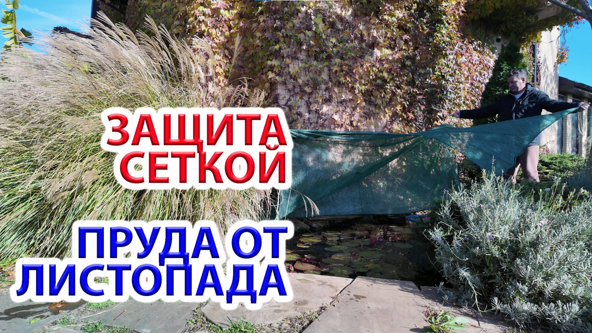 Как защитить пруд от листопада