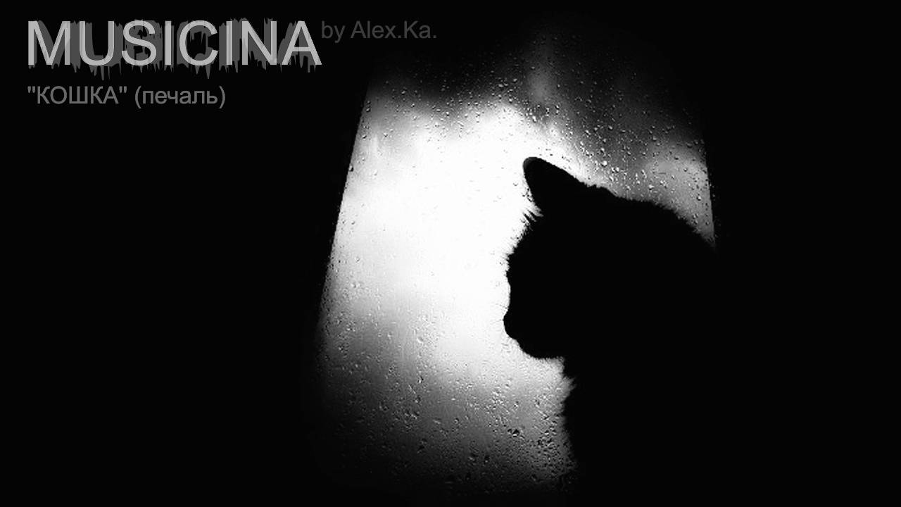 MUSICINA - ''КОШКА'' печаль