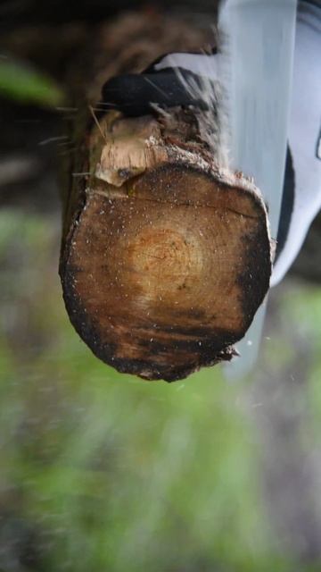 Silky F180. Пилим десять сантиметров.