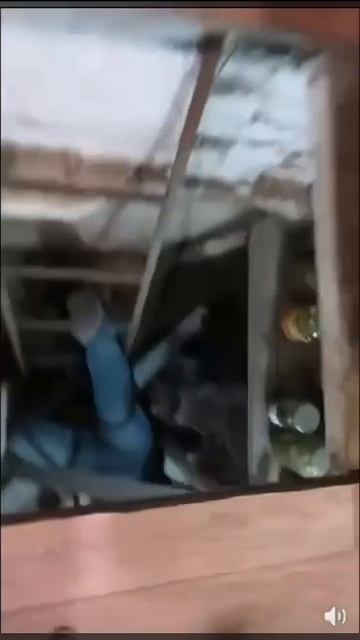 #смешныевидео