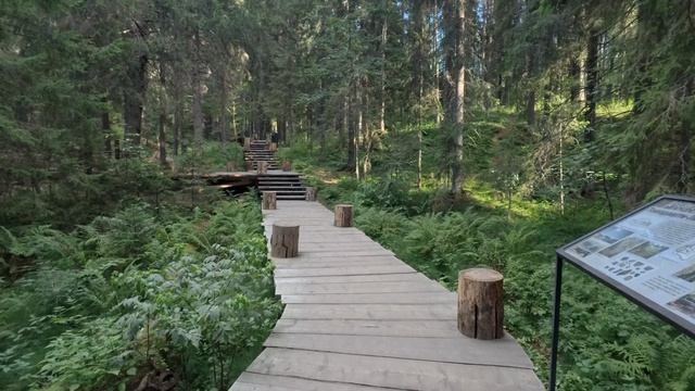 Карелия. VID_20250812_173651_146