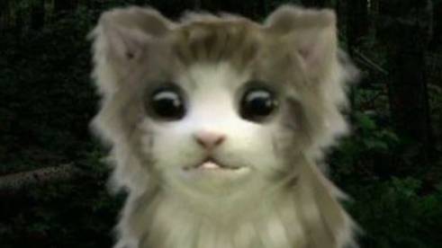 старая всратая тест анимация кринжового шоу кики(кет сим?)