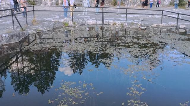 Карелия. VID_20250812_153952_136
