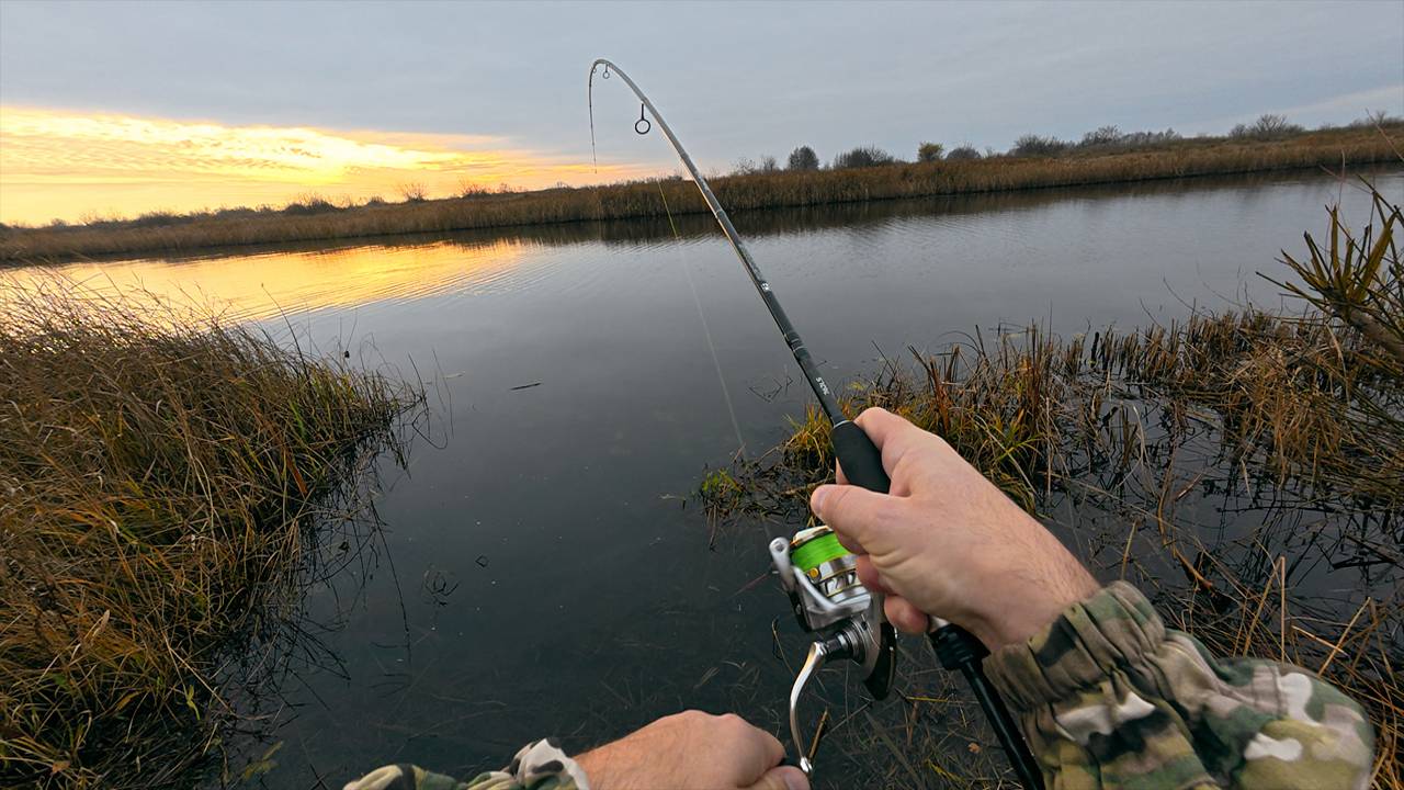 РЫБАЛКА НА СПИННИНГ С БЕРЕГА. ШОК! ЧТО КЛЮЁТ НА ЭТОЙ РЕКЕ?