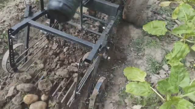 ИСПЫТАНИЕ КОПАЛКИ для мотоблока Ока. Грохотная.