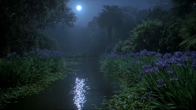 Ａ　ｐｌａｙｌｉｓｔ　ｆｏｒ　ｌｏｖｅｒｓ　ｉｎ　ｔｈｅ　ｄａｒｋ．．