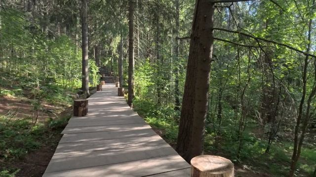 Карелия. VID_20250812_173119_144