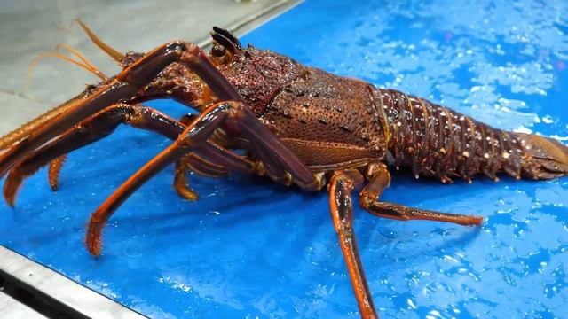 Коллекция уличной еды из Дананга и Далата, Вьетнам.