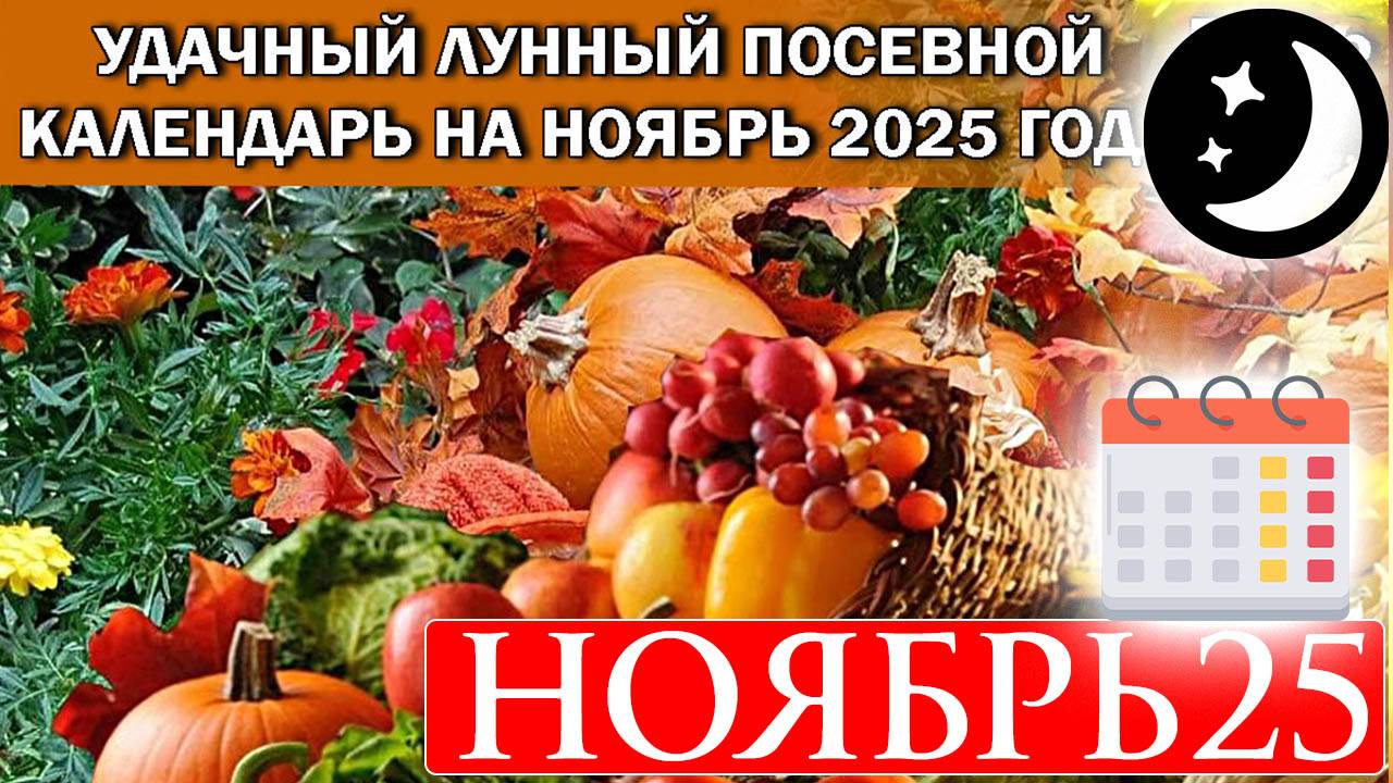 ЛУННЫЙ ПОСЕВНОЙ КАЛЕНДАРЬ ОГОРОДНИКА НА НОЯБРЬ 2025