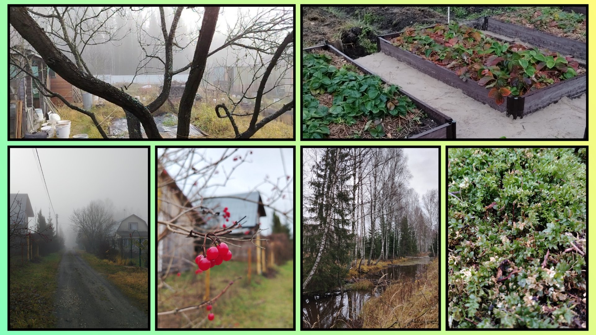 54/2025 НОЯБРЬ НАЧАЛСЯ С ТУМАНА, ПЫТАЕМСЯ ЗАКРЫТЬ СЕЗОН