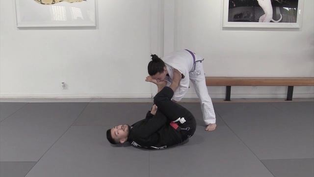 Collar and Sleeve Guard 1