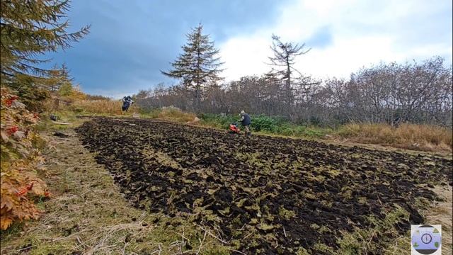 Обкатка мотоблока Зубр МТБ -400 У