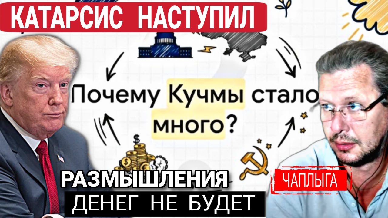 Кошка бросила котят, пусть @бутся как хотят 04-11-2025