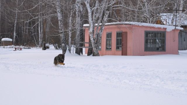 Тренировка по защите. Викинг Из ТД. СБ "Саратово" 2020 г.