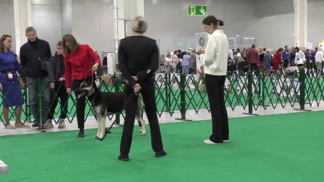 Ольвал Дэнис Румба