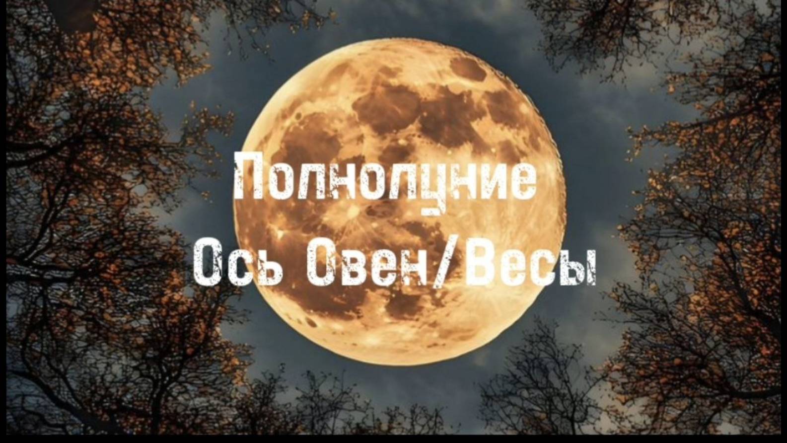 Ноябрьское Полнолуние: Почему вам так тяжело? (И как это изменить)