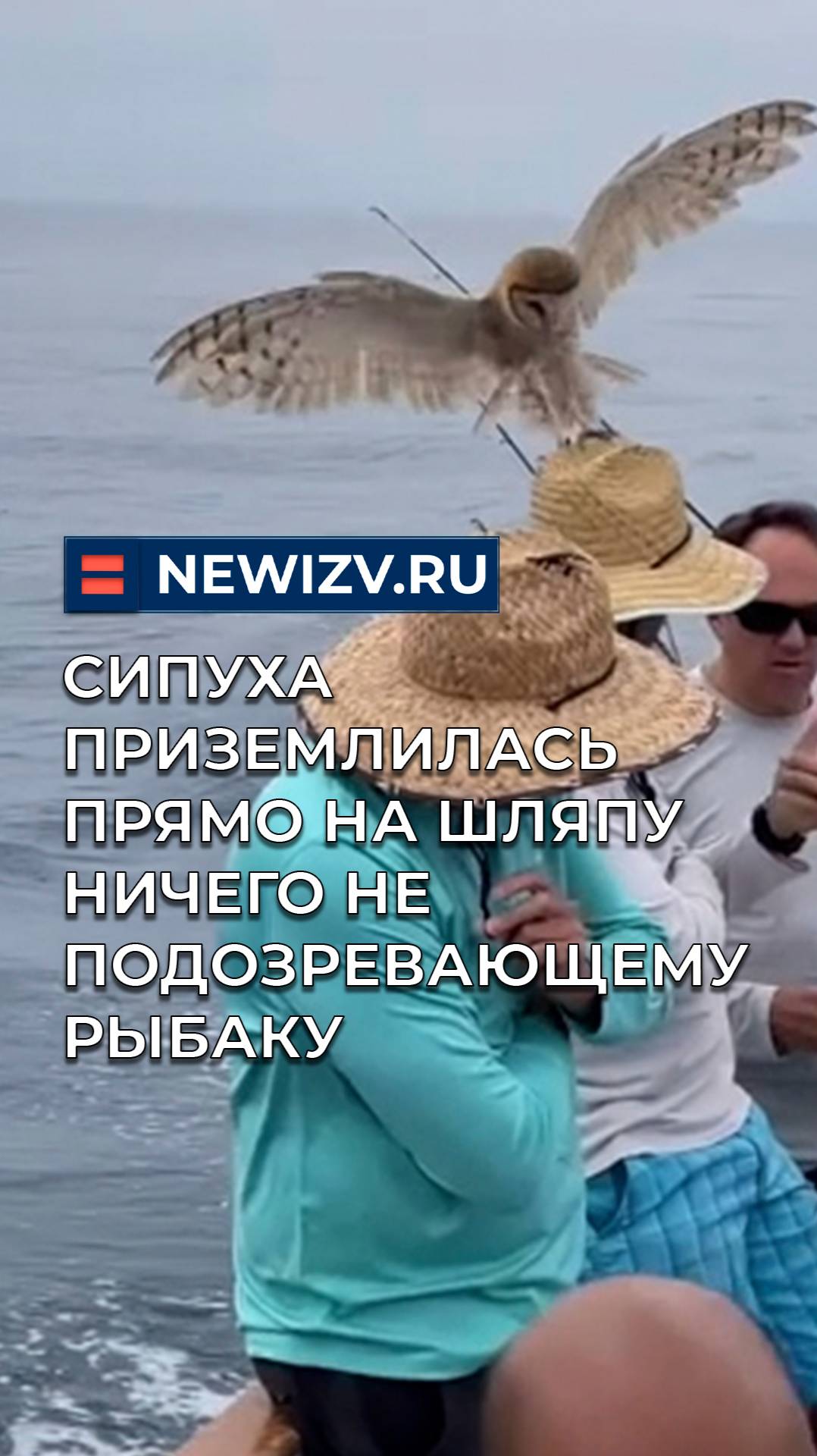 Сипуха приземлилась прямо на шляпу ничего не подозревающему рыбаку