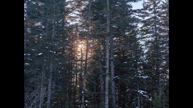 Бывает всякое