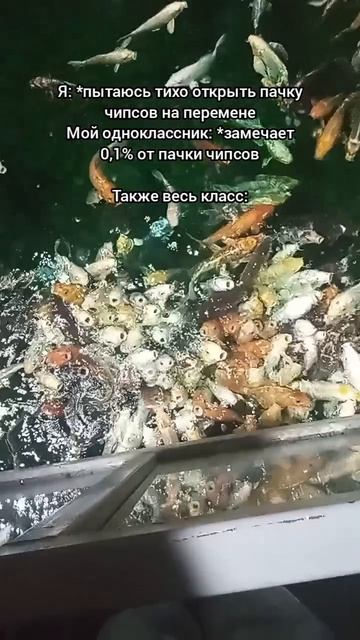 Ситуация в школе 😅😅😅/ situation at school