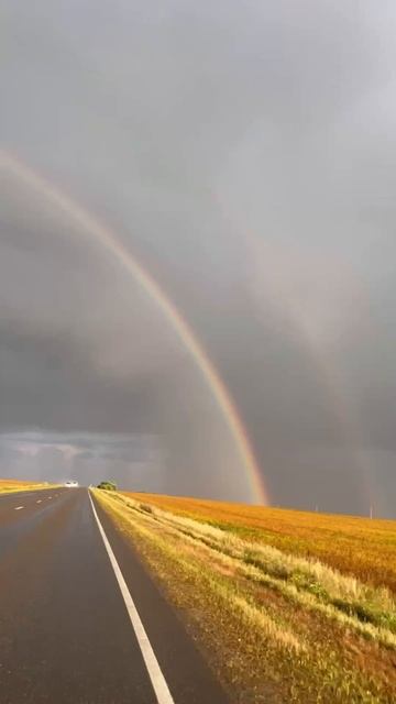 Золотой свет амурских дорог