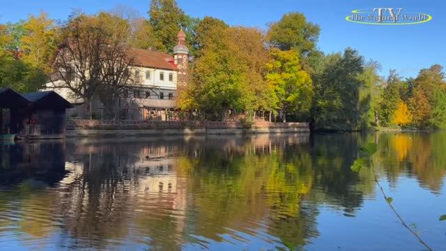 🍁🍂Музыка🎵 Для Души Осень🍁🍂 (Beautiful Autumn) которая тронет вашу ДУШУ🎵Вы должны её услышать!