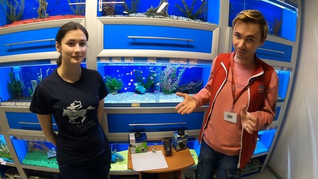 GH010299 Выбор кормушек для аквариумистики