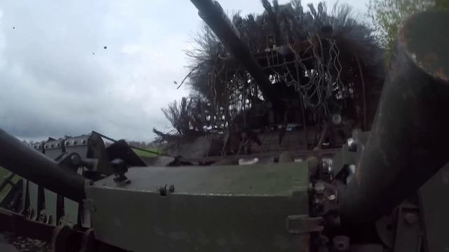 Танчик с 'шевелюрой'