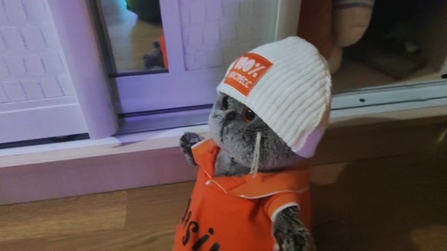 Басик дома