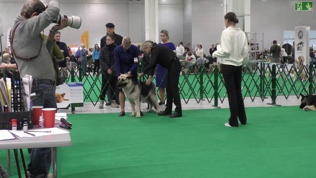 Дарвин Формула Любви