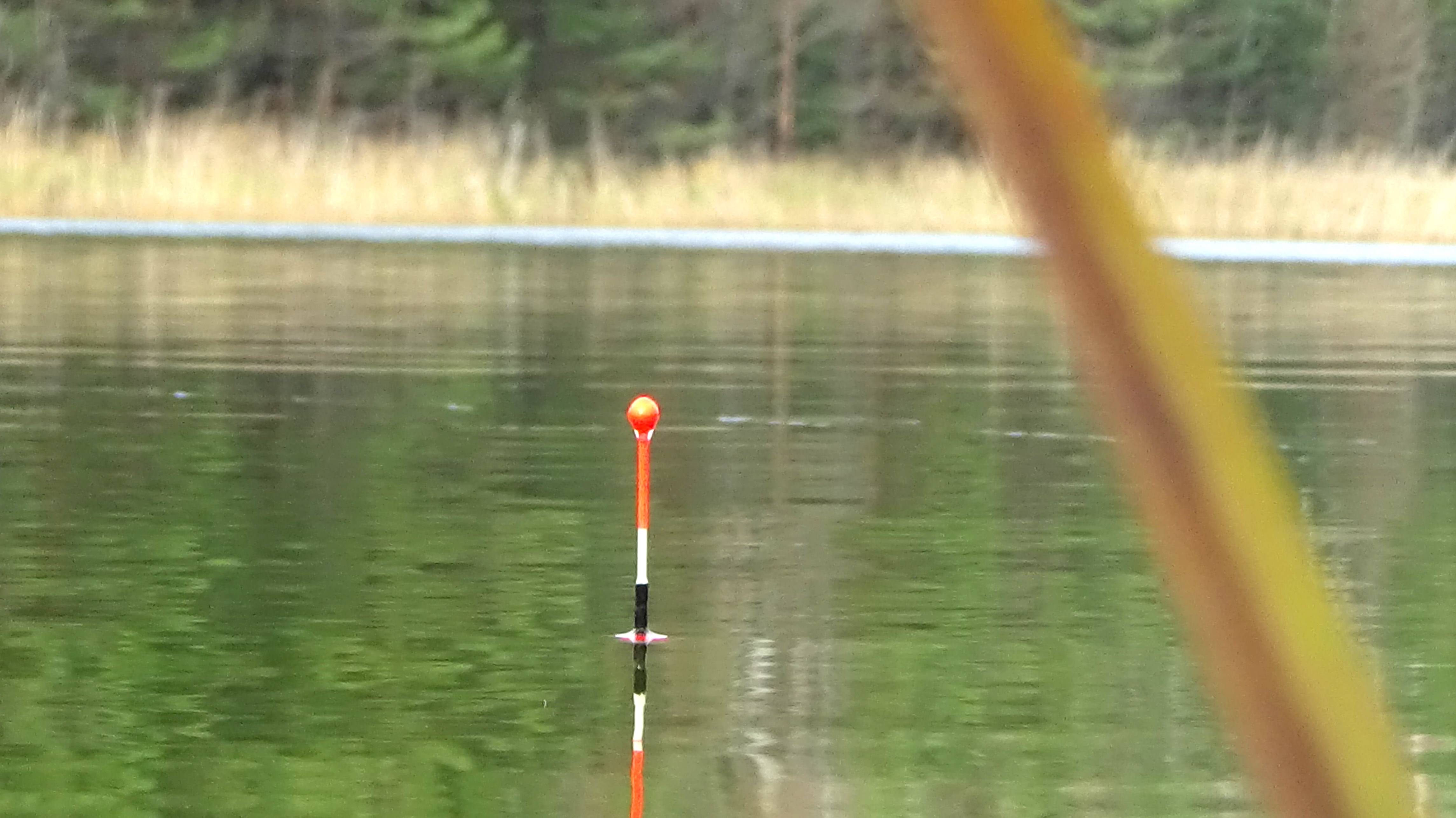 Рыбалка 4 ноября на карася на поплавок! Клюёт ли карась в  ноябре на дальнем пруду...