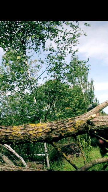 Секретный остров (OST)