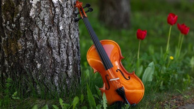 Классическая музыка на скрипке. Современная классика