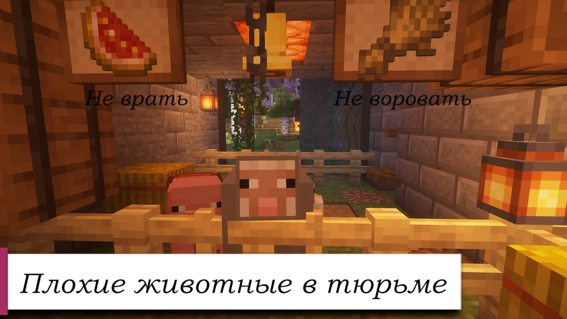 Выпуск о животных