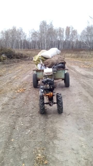 Субботник день4