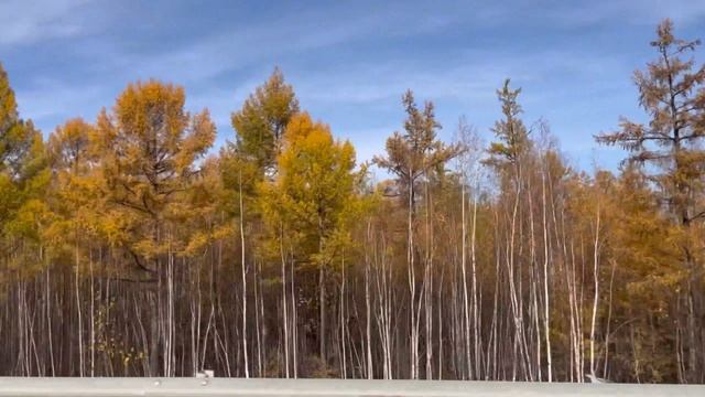 Амурские дороги в сентябре под «Моя Мишель»