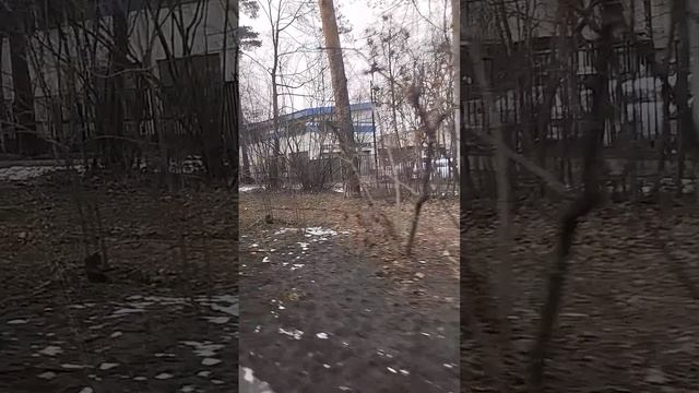 Трамвай №31 Метро Войковская - Проспект Маршала Жукова