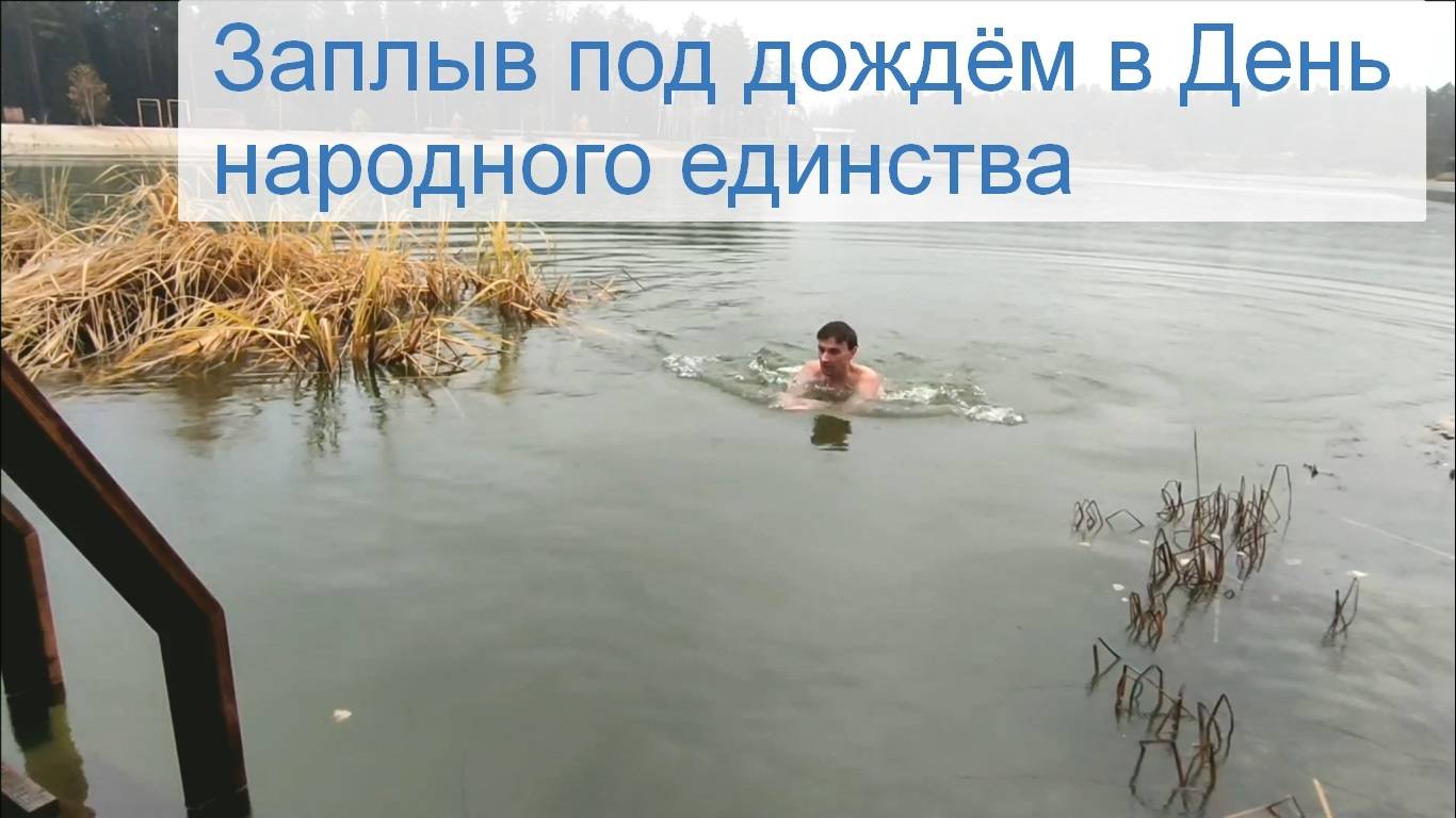 Заплыв под дождем в День народного единства