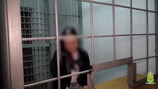 В Пензе под стражу заключена уроженка Самары, обслуживавшая 3 сим-бокса в интересах мошенников