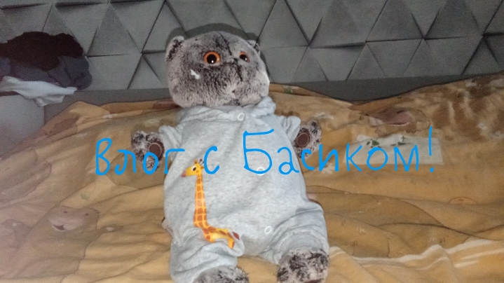 Влог с Басиком! 😺