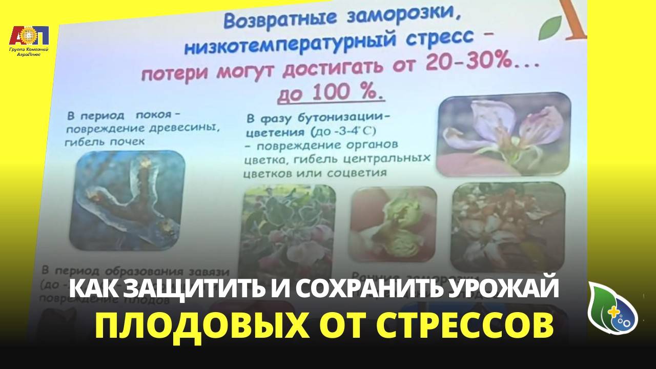 Как защитить и сохранить урожай плодовых от стрессов. КрымАгро-2025