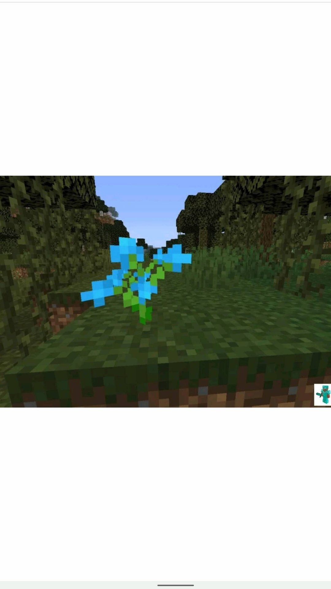 Исчезание синей орхидеи в Майнкрафте