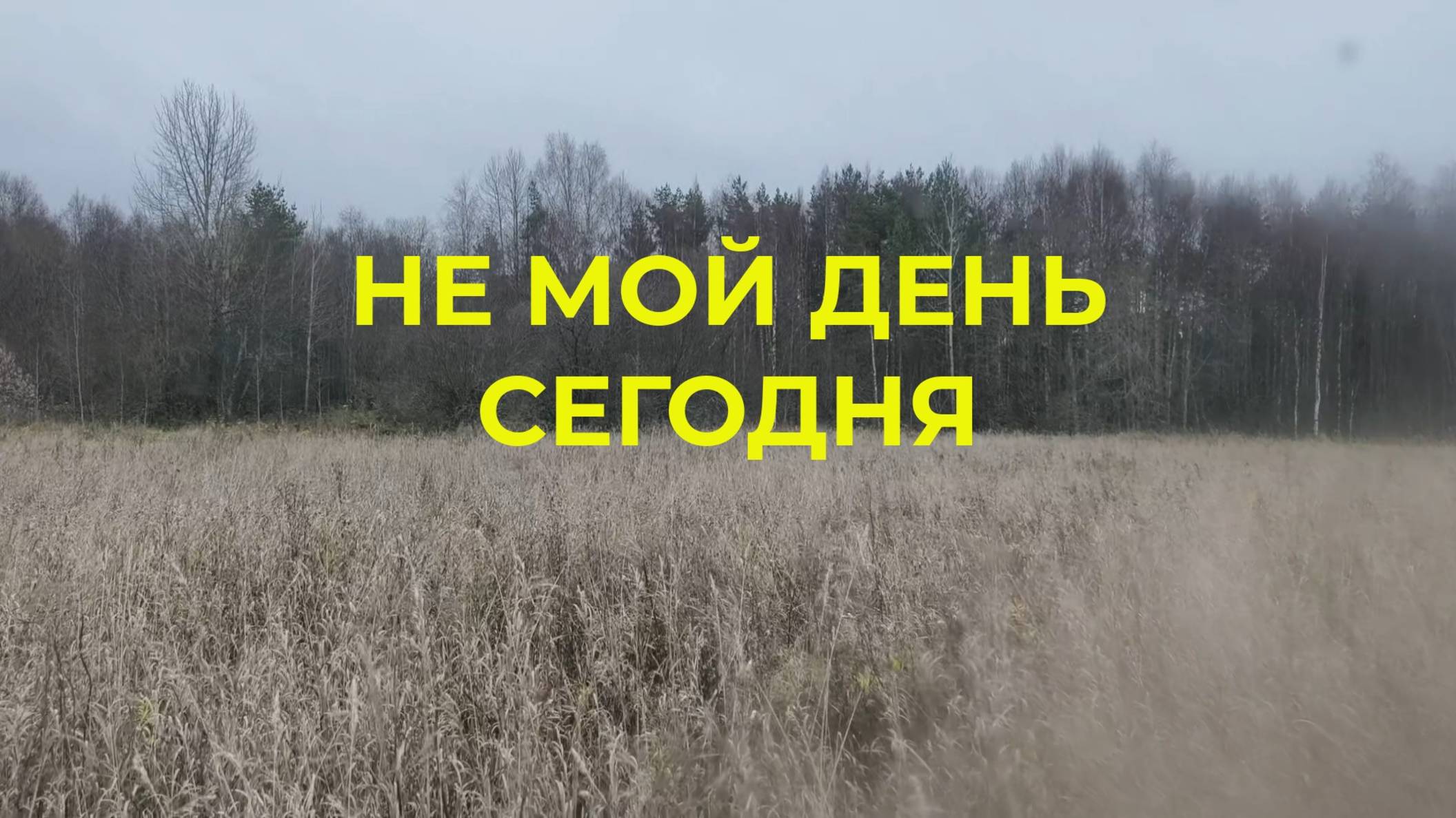 Планы Меняются Не Мой День Сегодня