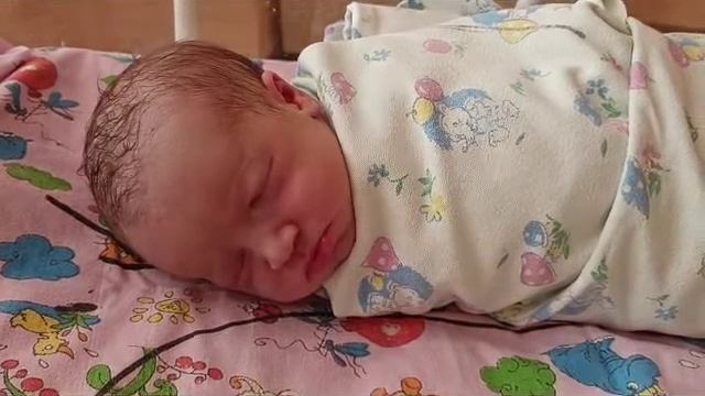 День 1. Аня спит (вес-3140,рост-50)