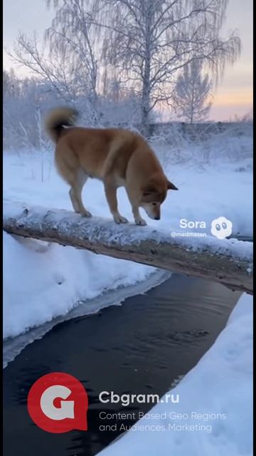 Почему ты до сих пор игнорируешь аудиторию, у которой есть и время, и деньги? 🤯