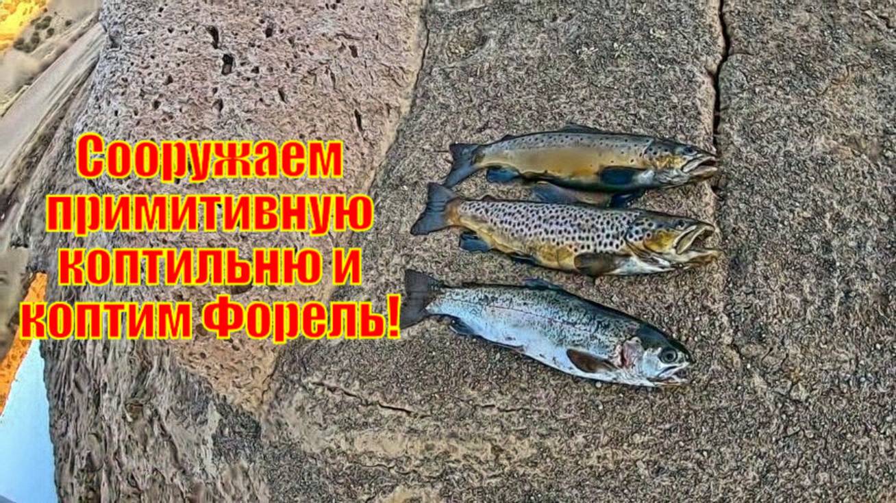 Сооружаем примитивную коптильню и коптим Форель!