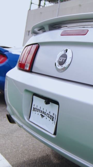 Участникам на этих красавцах даже «налог на удовольствие» нипочем