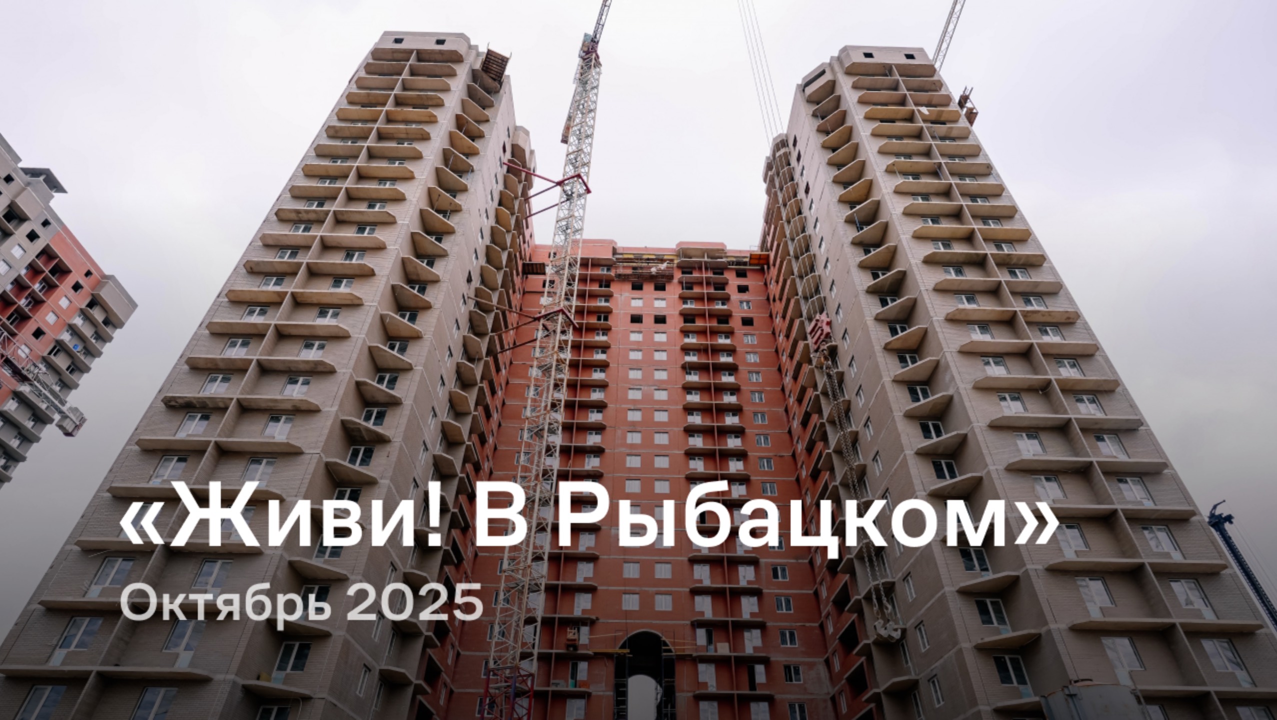 «Живи! В Рыбацком» / октябрь 2025