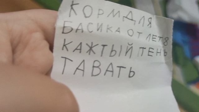 распаковка корма для Басика и фигурка